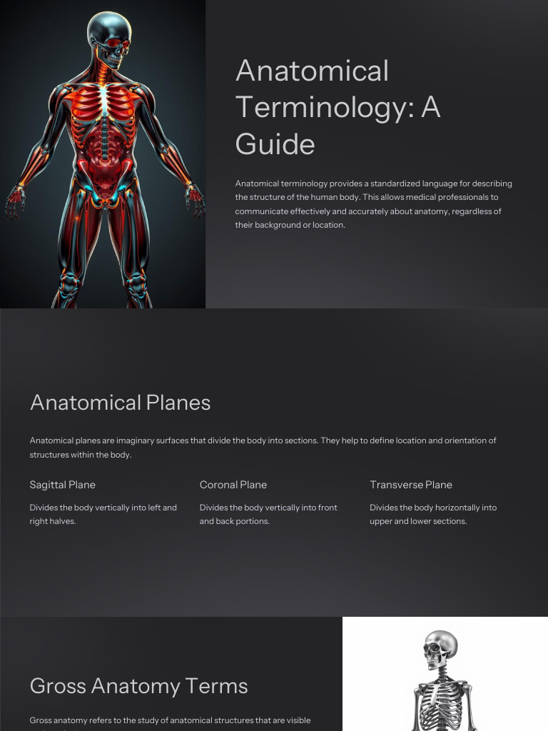 Anatomical Terminology A Guide | PDF | Anatomical Terms Of Motion ...