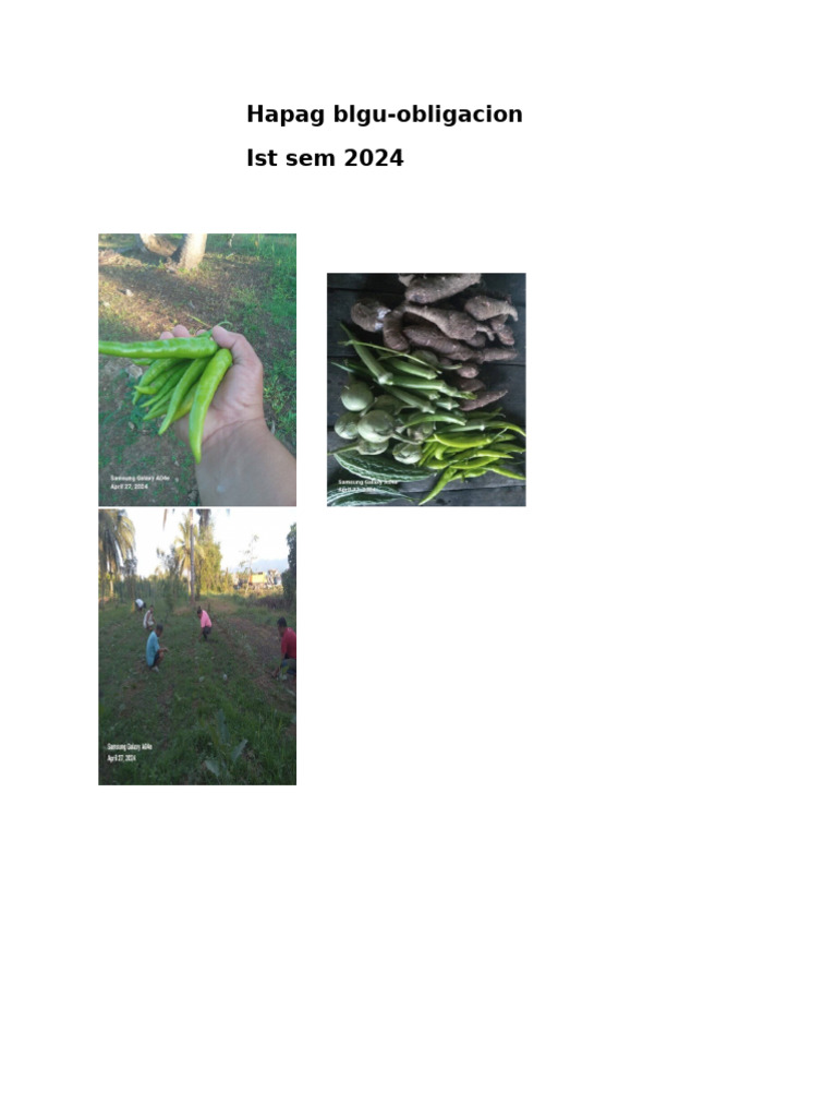 Hapag Blgu-Obligacion 1st Sem | PDF