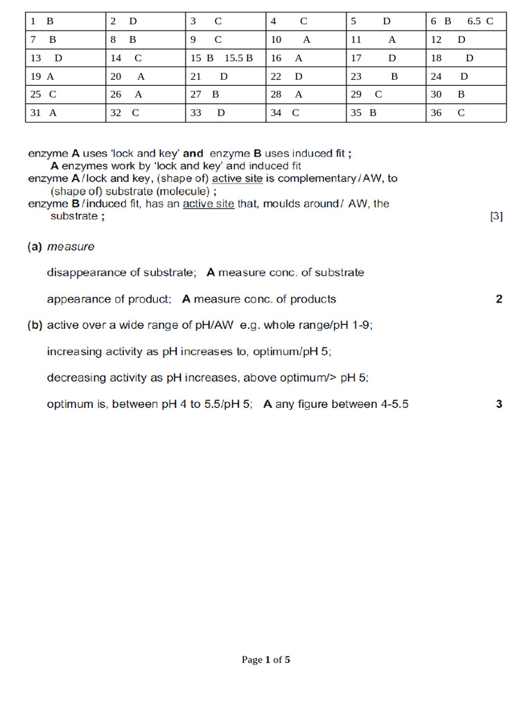Chapter 3 Enzymes Molecule Worksheet Ver 2 Answer | PDF