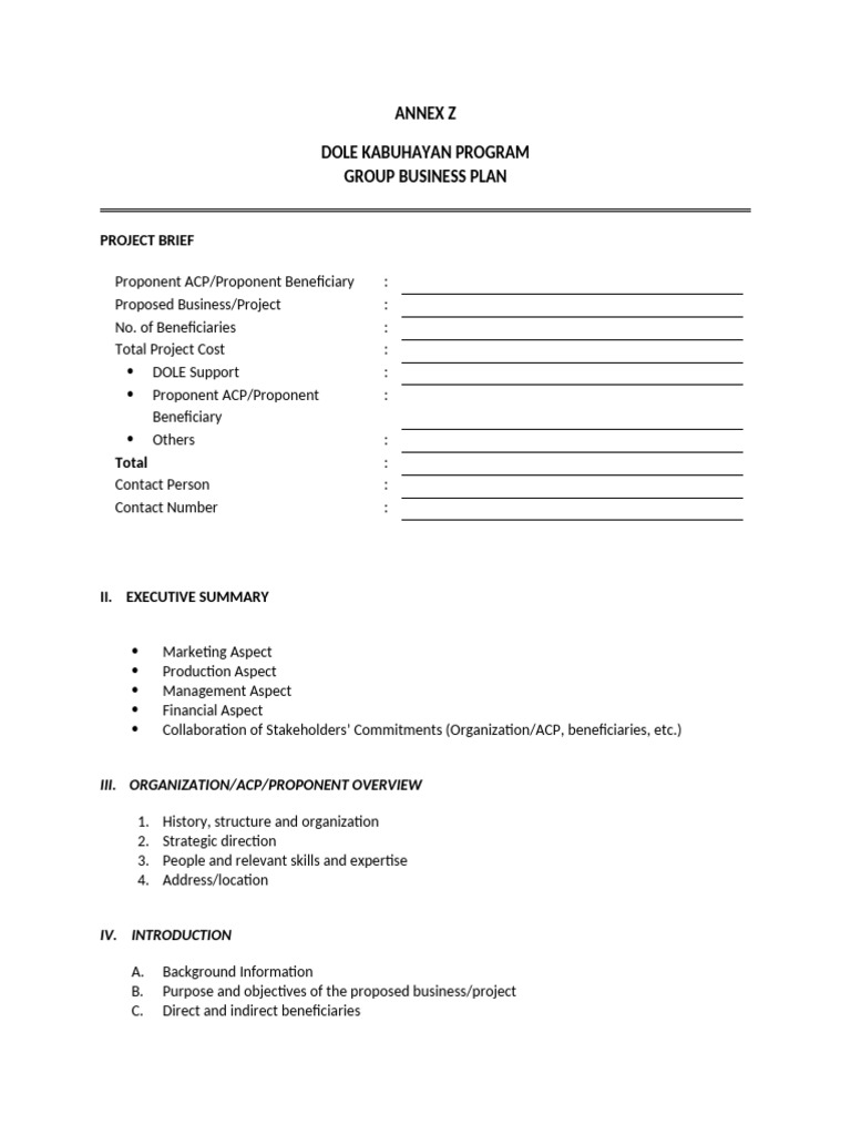 ANNEX Z - Template For Group Project Proposal Business Plan | PDF