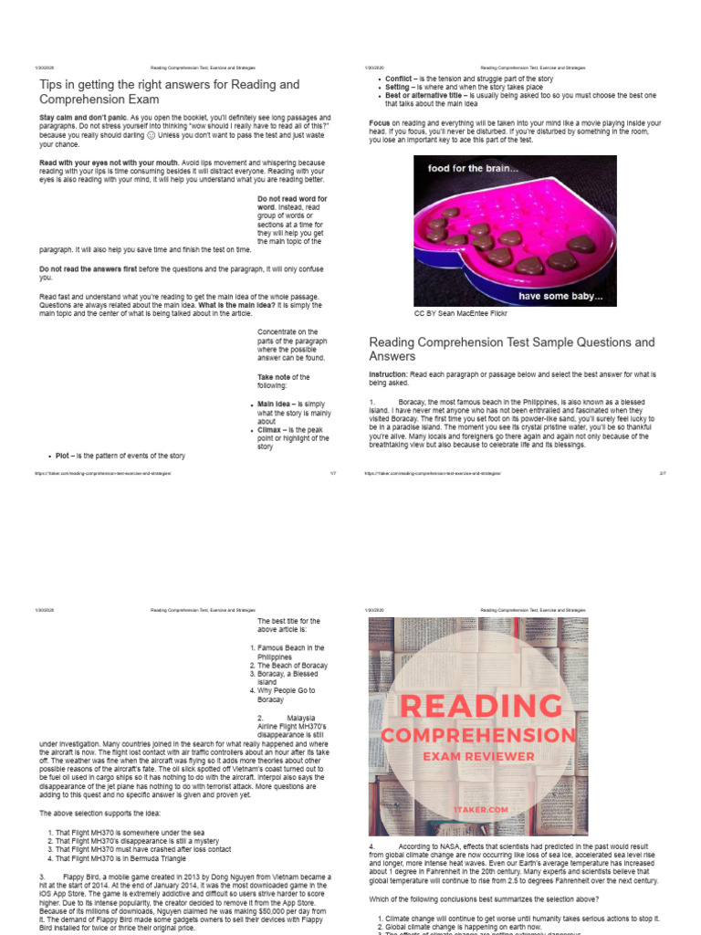 Reading Comprehension Test, Exercise and Strategies | PDF