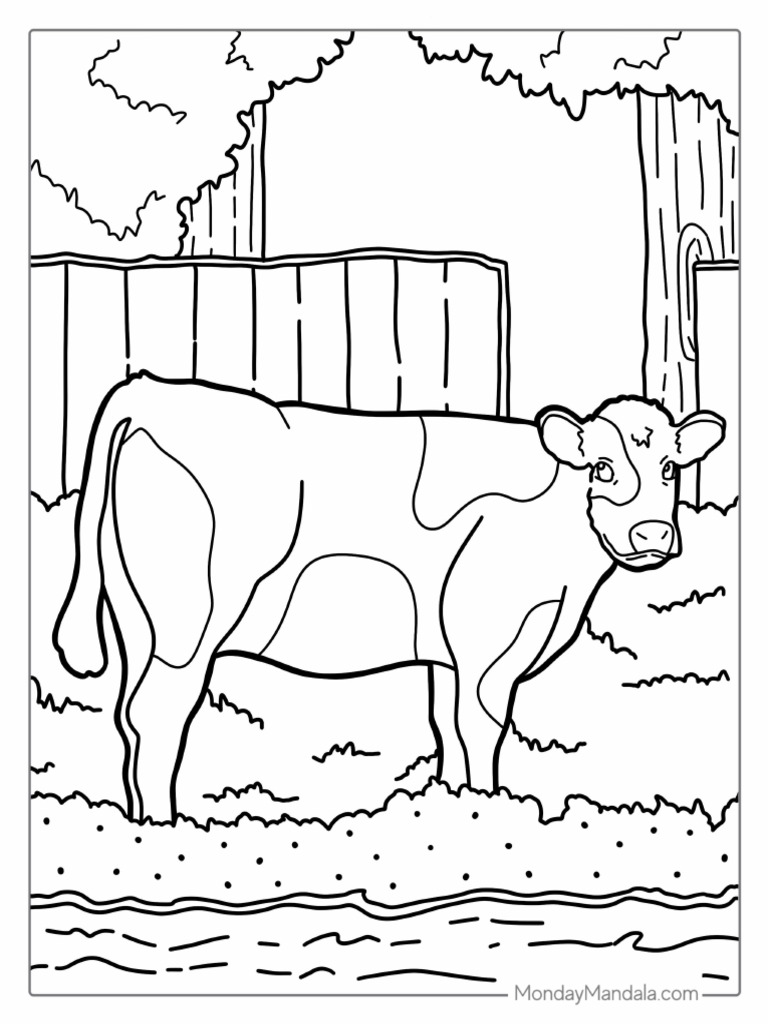 Daisy Cow Standing in Paddock Coloring Sheet | PDF