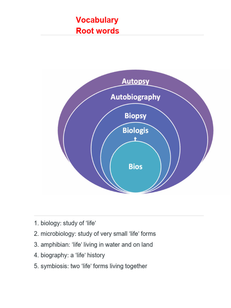 Root Word Vocab | PDF