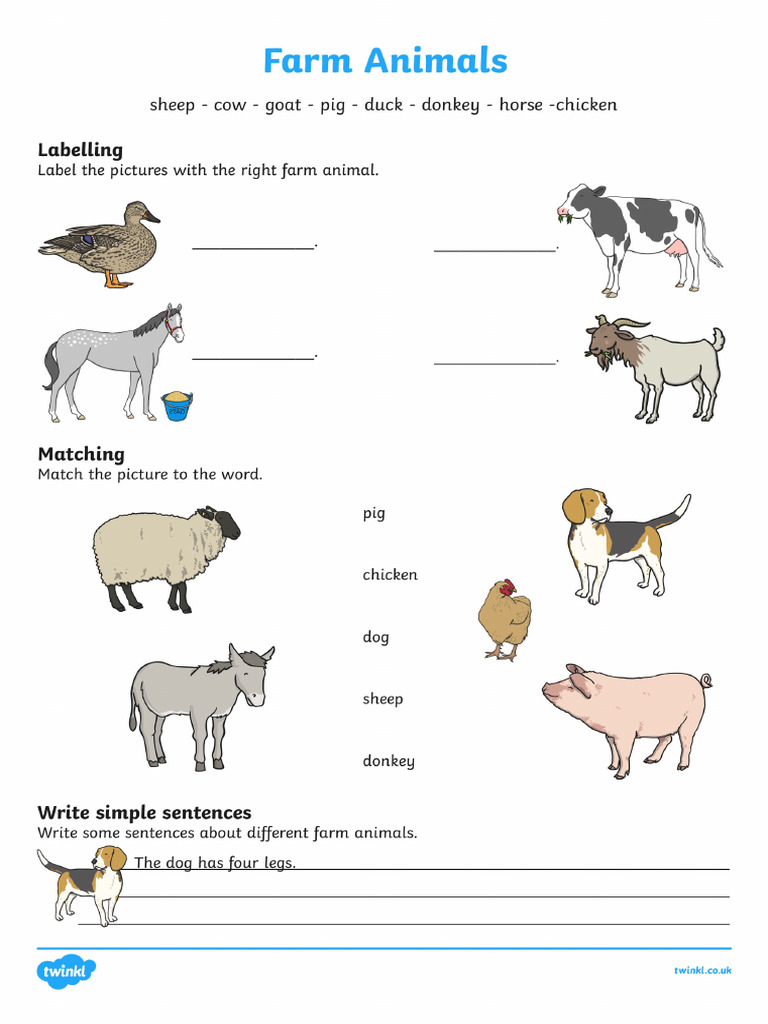 T e 613 Farm Animals Activity Sheet | PDF