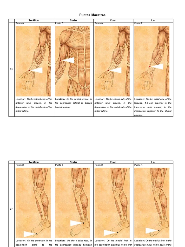 Puntos Maestros: Tonificar Sedar Yuan Lo | PDF | Foot | Joints