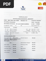 Normal 2D Echocardiogram Report | PDF | Heart Valve | Diastole