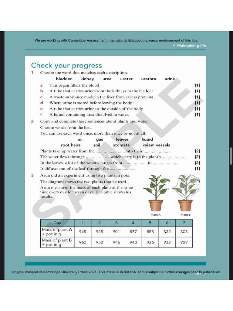 G9 - Unit 4 Check Your Progress PDF | PDF