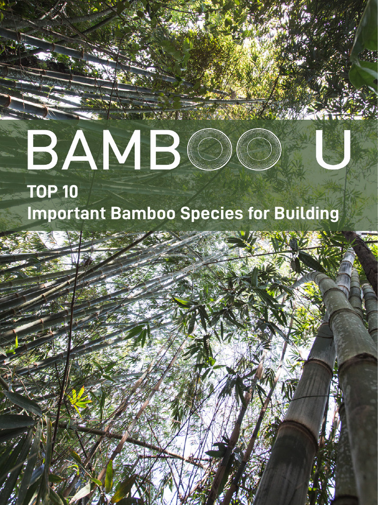 10 Important Bamboo Species for Building | PDF | Bamboo