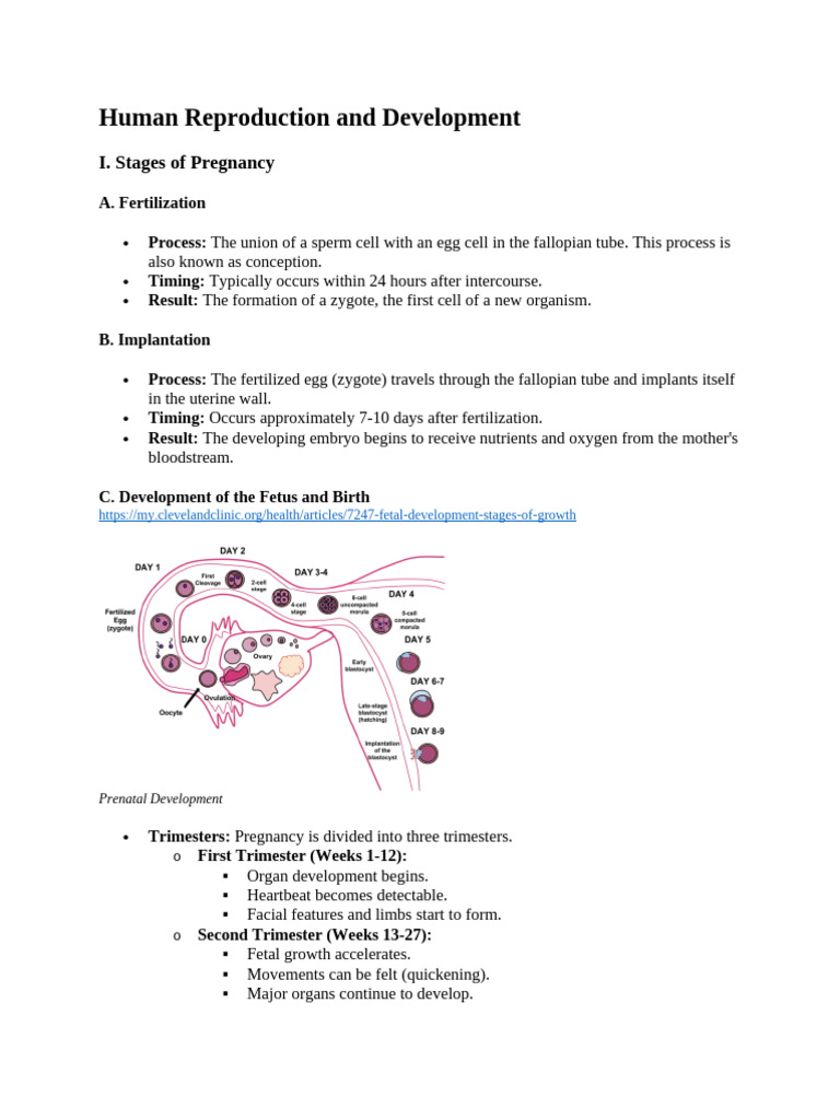 Human Reproduction and Development | PDF | Human Reproduction | Pregnancy