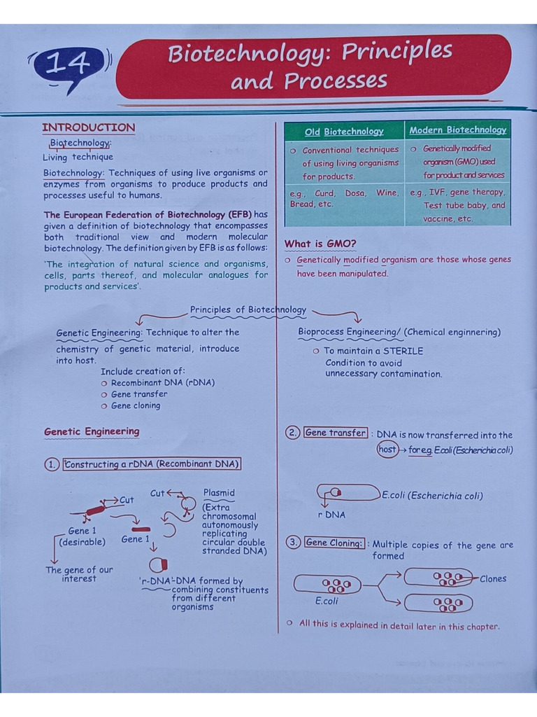 Biotechnology Principles and Processes Zoology Med Easy | PDF