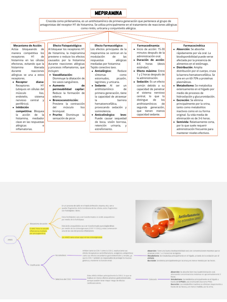 Mapas Tarea Farmaco | PDF