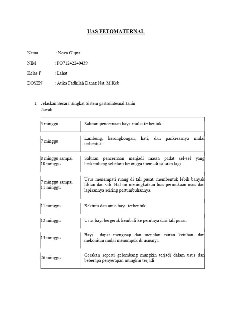 Uas Fetomaternal | PDF