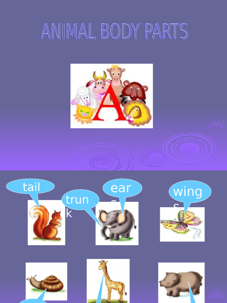 Animal Body Parts 2 | PDF | Language Arts & Discipline | Foreign ...