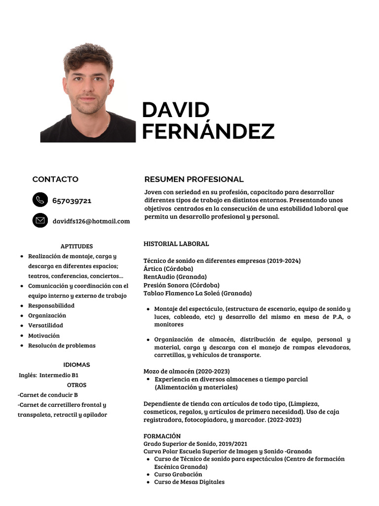 CV David | PDF