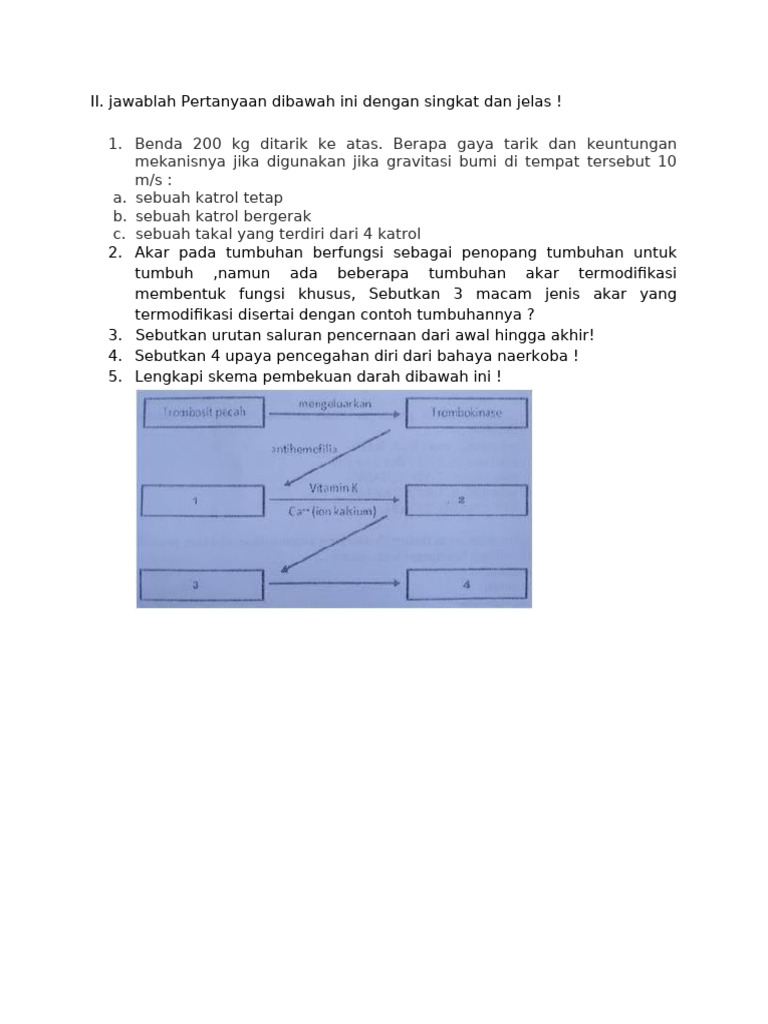 Essai Ipa Pas 1-20232024 | PDF