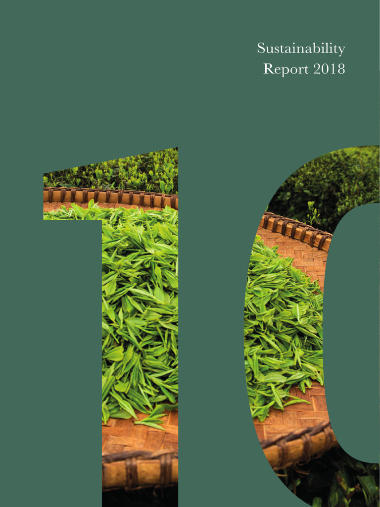 Sustainability Report 2018 | PDF | Sustainability | Sustainable Development