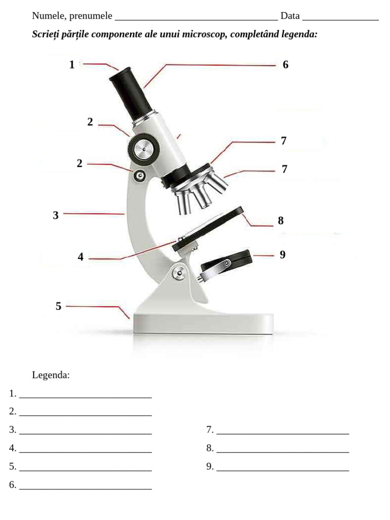 Structura Microscopului | PDF