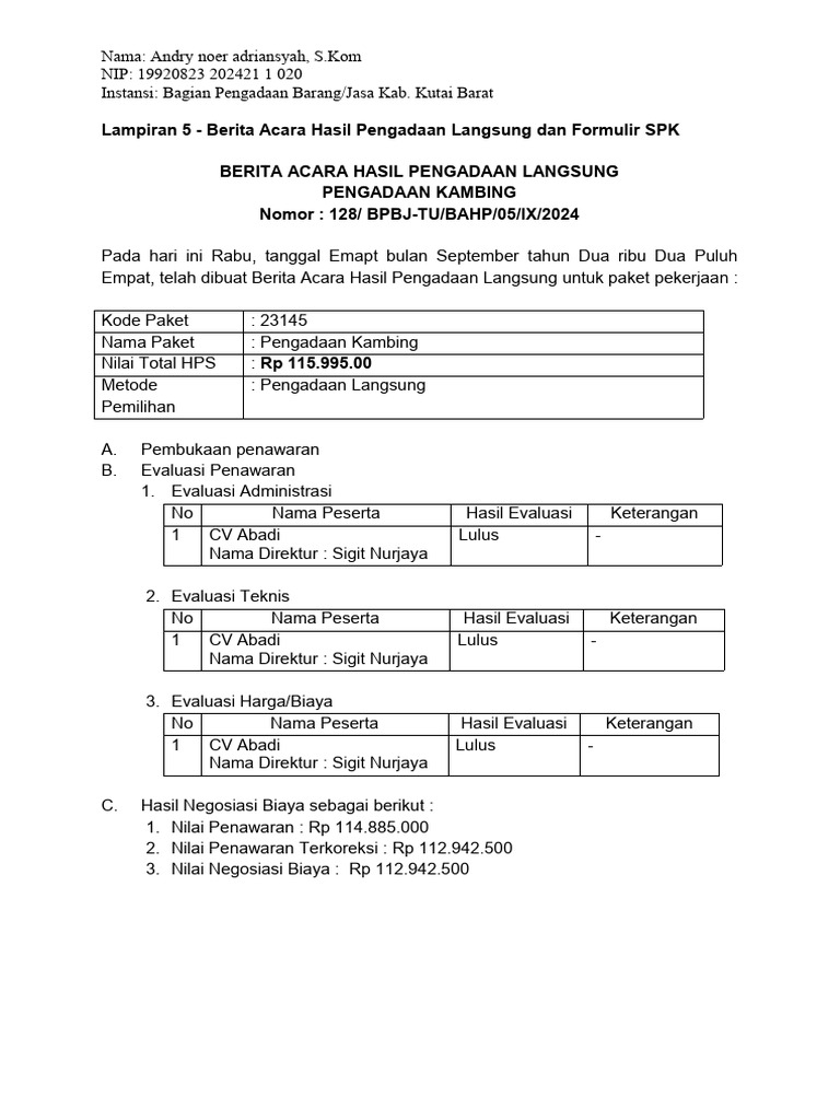ANDRY - Lampiran 5 - Berita Acara Hasil Pengadaan Langsung Dan SPK | PDF