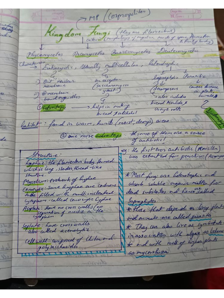 Biological Classification | PDF