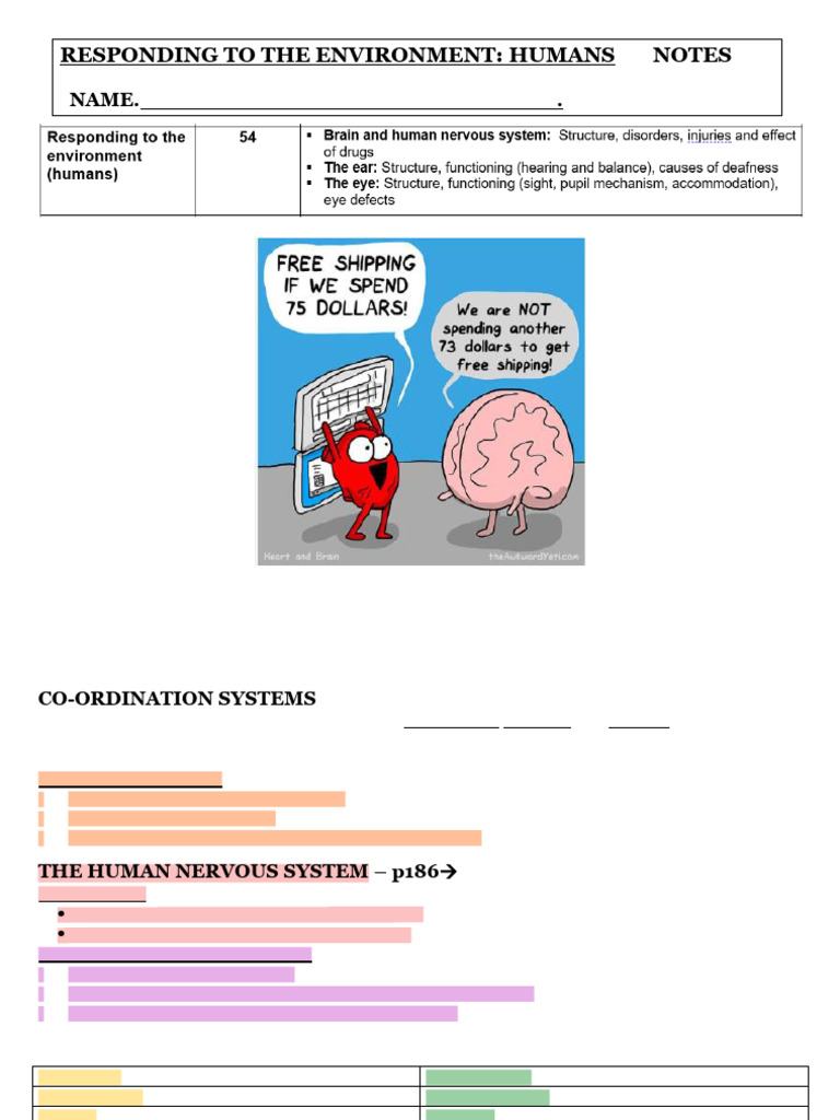 RESPOND TO ENVIRONS HUMANS Notes 2024 | PDF | Nerve | Axon