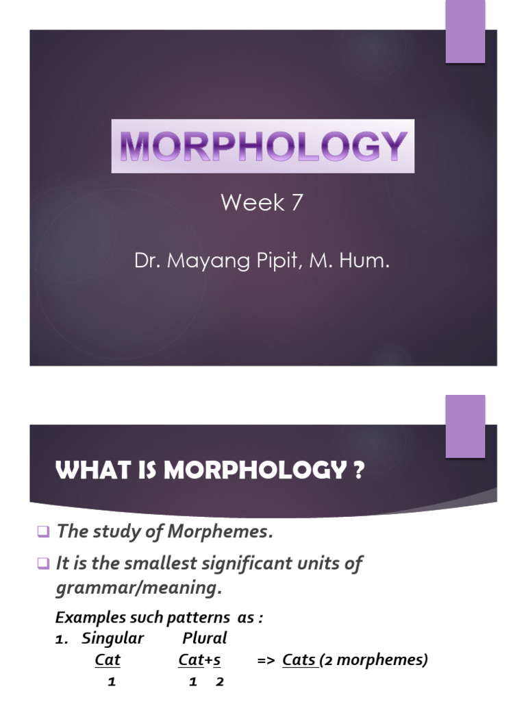 Morphology | PDF