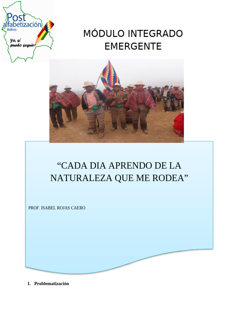 Mód. Integ. Emerg - Prof Isabel Rojas | PDF