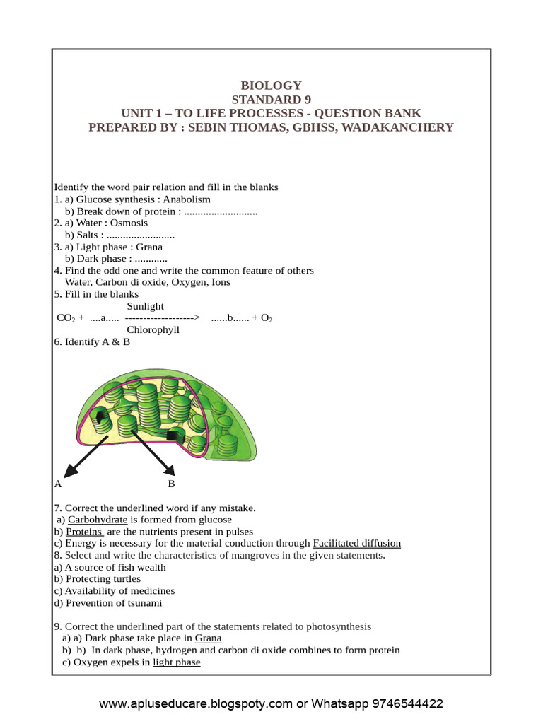 Class 9 Biology Question Bank | PDF | Cell Membrane | Glucose