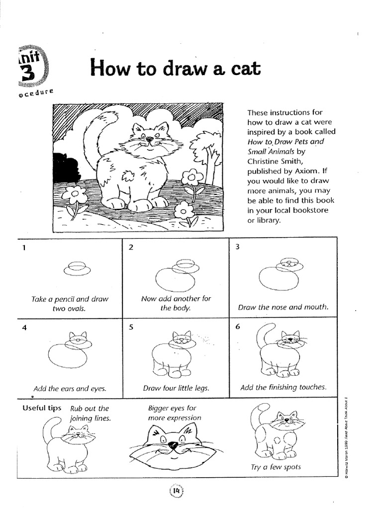 How to draw a cat | PDF