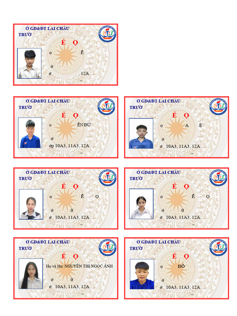 11A3 - The Hoc Sinh | PDF