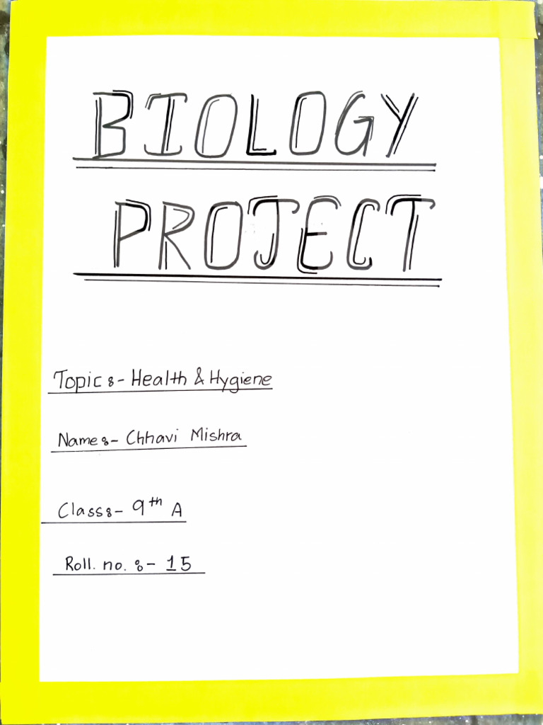 Health and Hygiene Project Overview | PDF | Clinical Medicine | Health ...