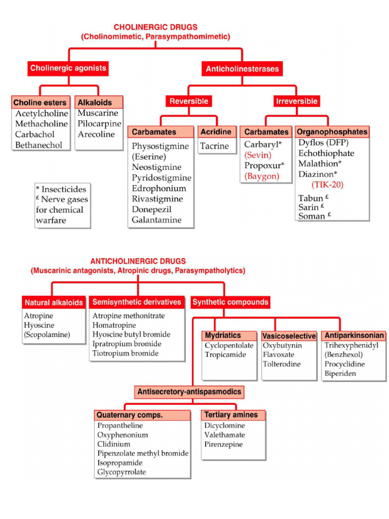 Pharmacology Drug Class | PDF