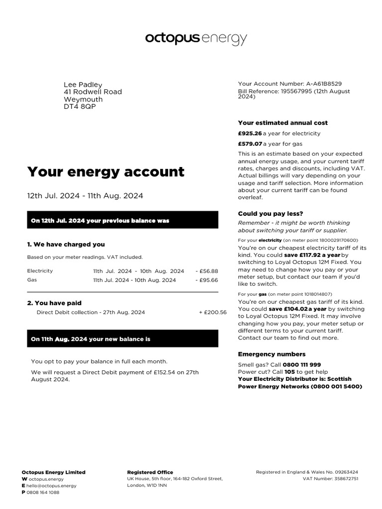 Octopus Energy Statement 2024 08 11 | PDF