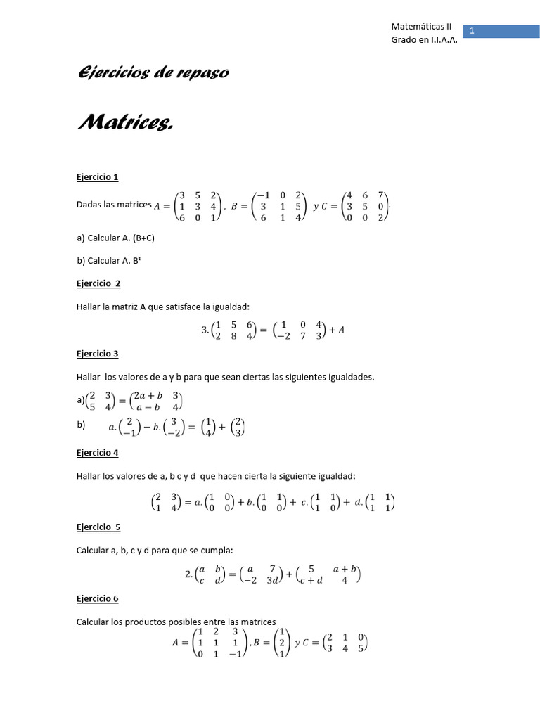 Ej Matrices | PDF