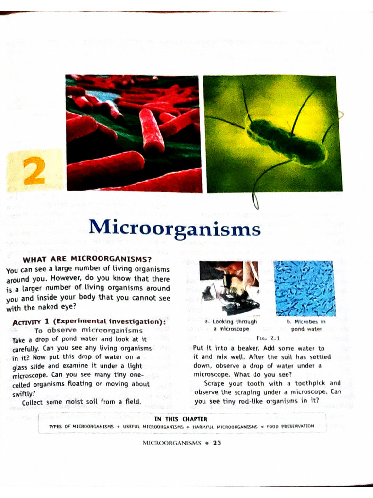 Microorganisms (CH 2) | PDF