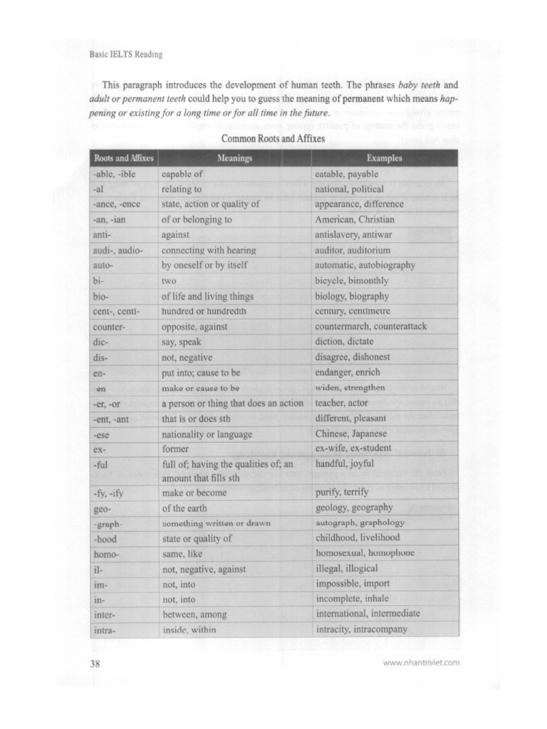 Common roots and affixes | PDF