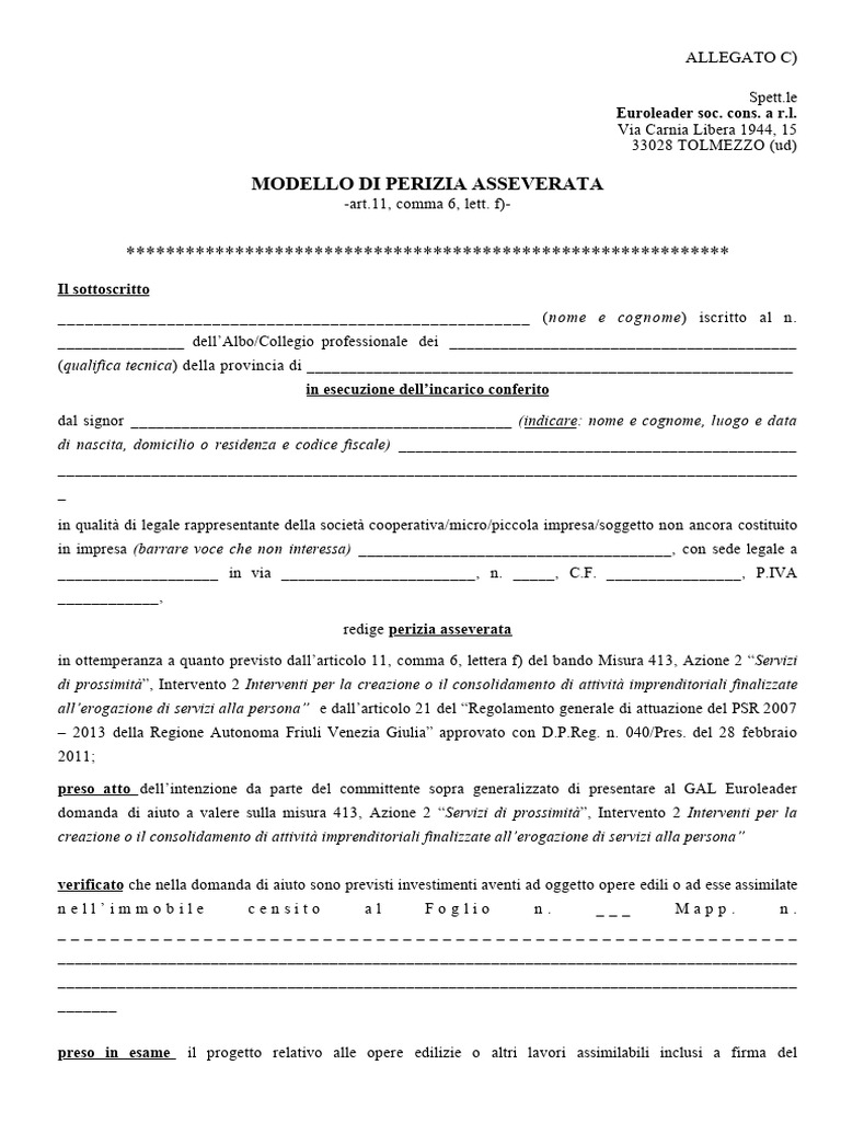 Modello Perizia | PDF