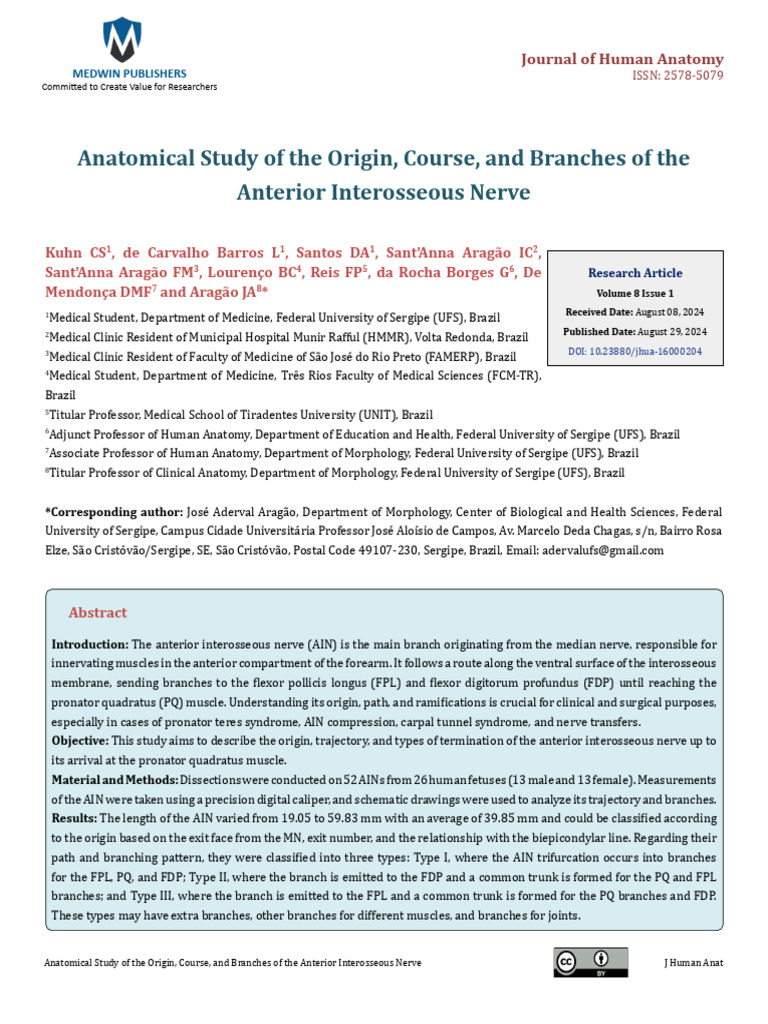 Anatomical Study of The Origin Course and Branches of The Anterior ...