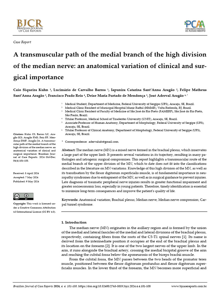A Transmuscular Path of The Medial Branch of The High Division of The ...