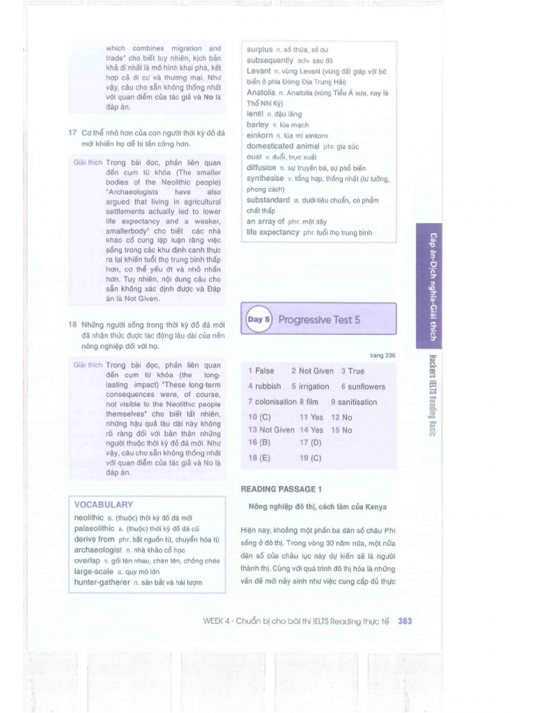 Key Reading Progressive Test 5 | PDF