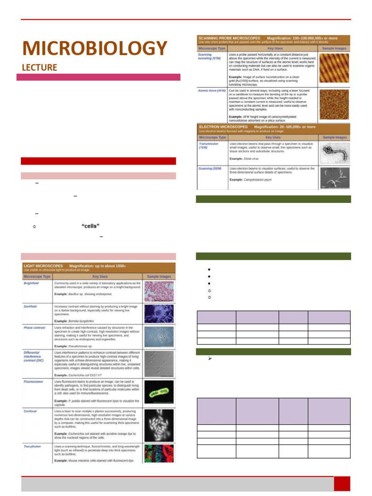 Microbiology Notes | PDF