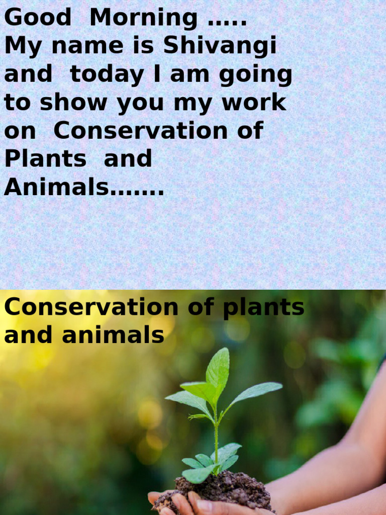 Conservation of Plants and Animals | PDF