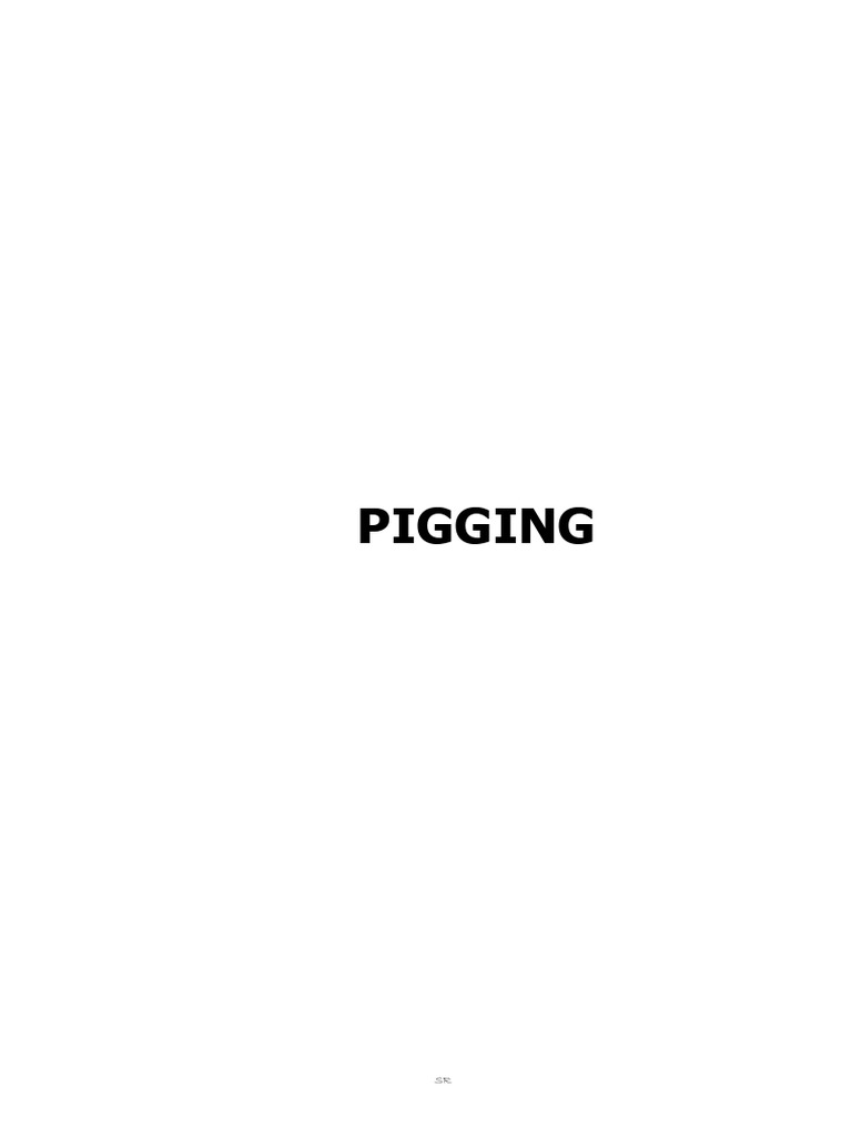 Pigging | PDF