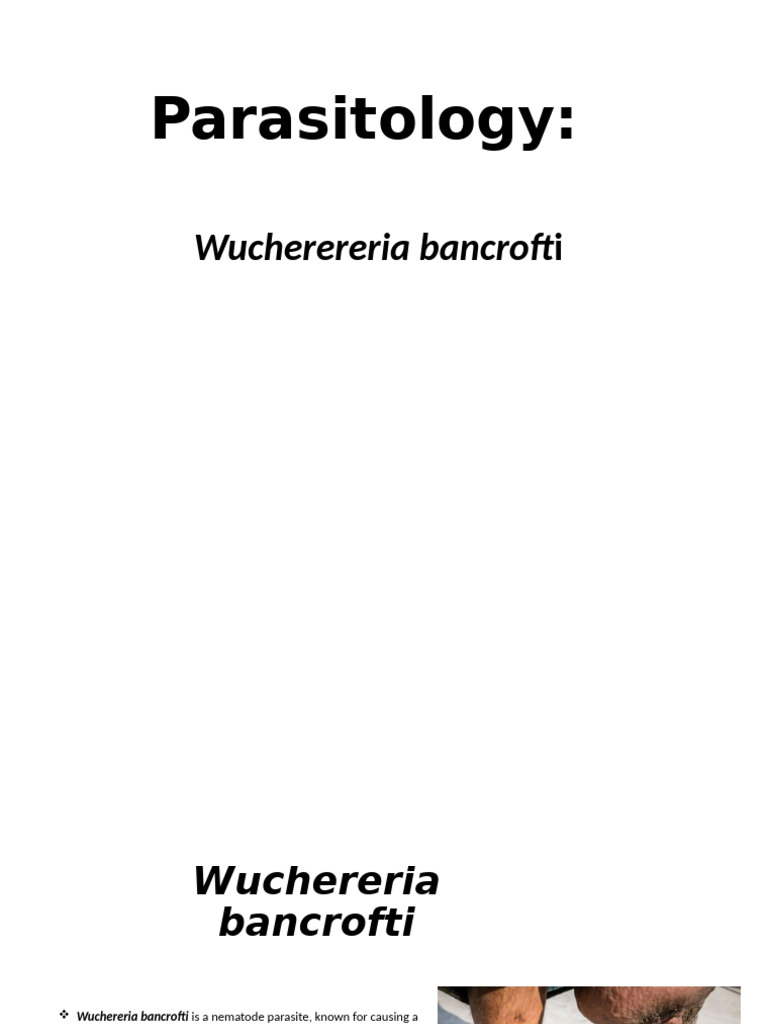 Wuchereria bancrofti and Lymphatic Filariasis | PDF | Medical ...