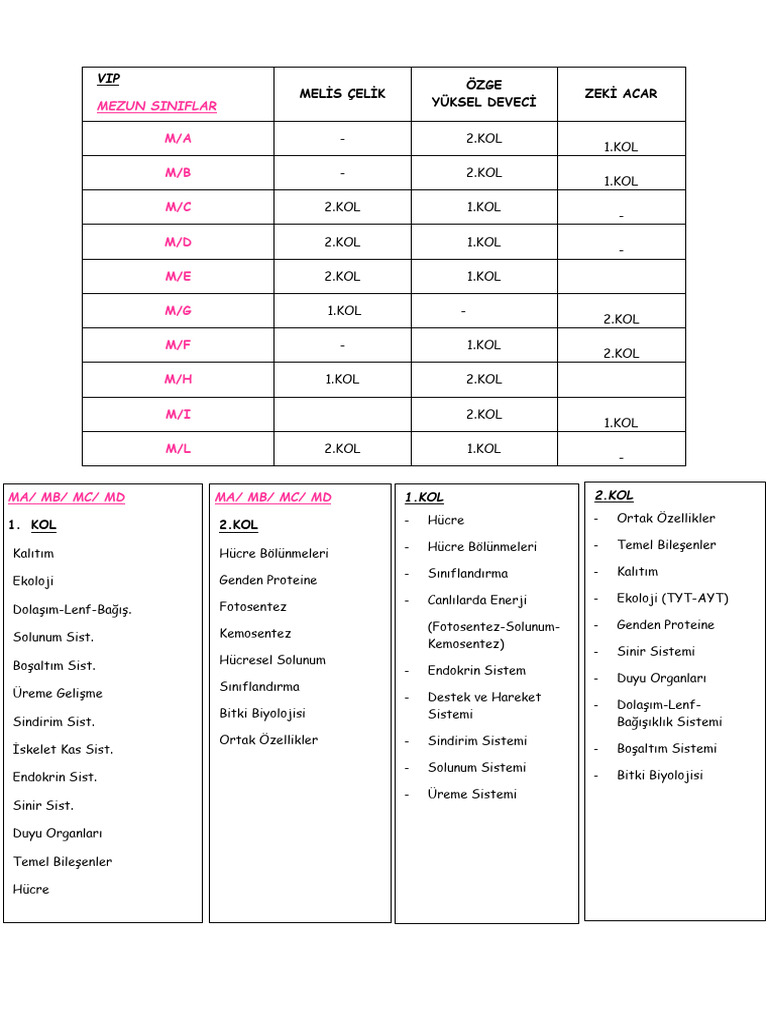 VIP PAYLAŞIM TABLOSU | PDF