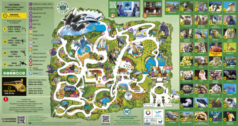 Map ESP | PDF