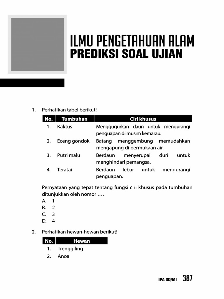 New Edition Big Book IPA SDMI Kelas 4, 5, 6-394 | PDF