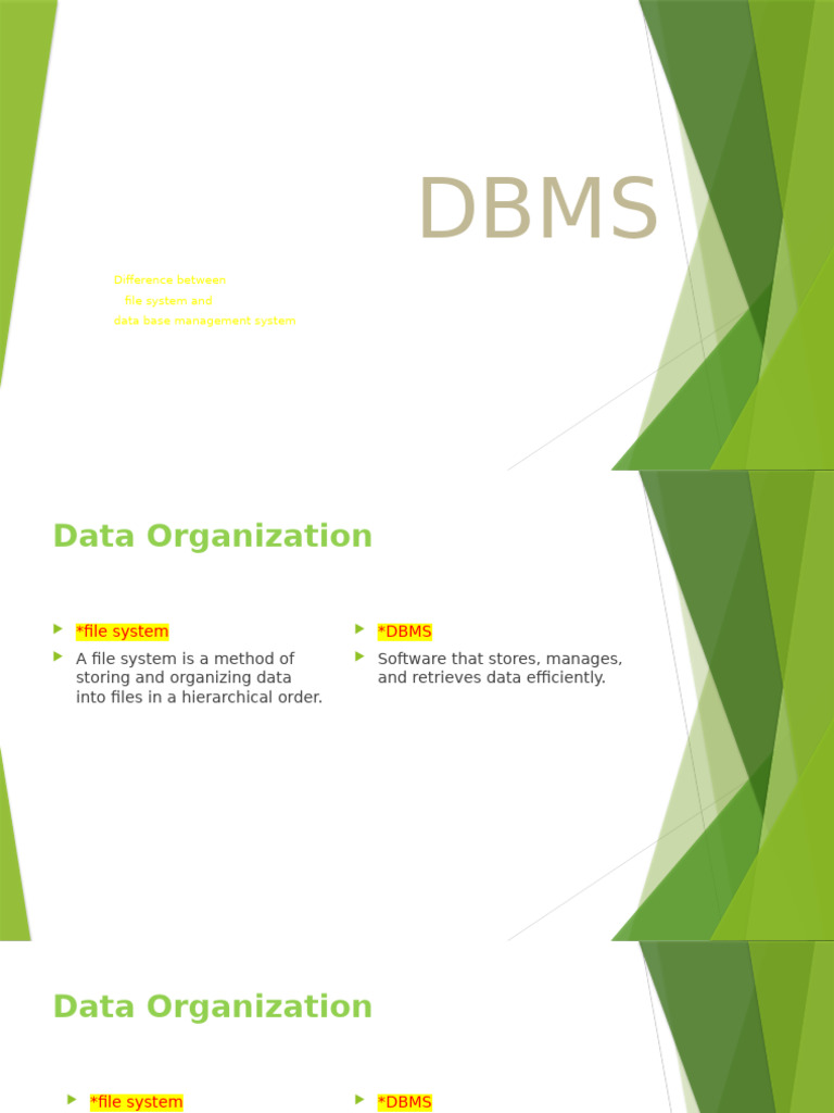 File System vs DBMS Comparison | PDF