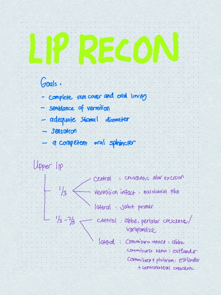 Lip Reconstruction | PDF