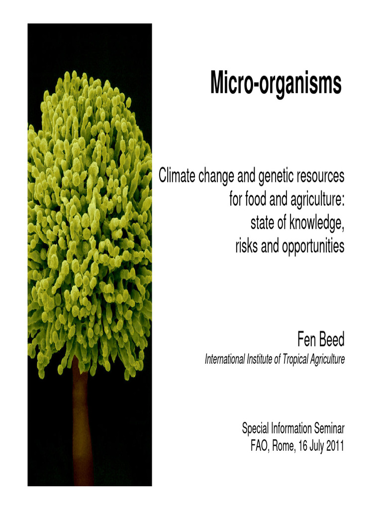 Micro Organism Beed | PDF