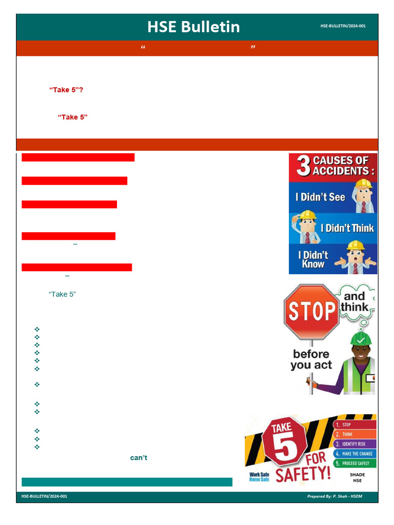 HSE Bulletin | PDF